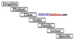 WBBSE Class 9 Life Science Solutions Chapter 1.3A Classification of ...