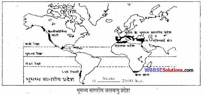 WBBSE Class 8 Geography Solutions Chapter 6 जलवायु क्षेत्र – WBBSE ...
