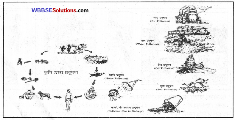 WBBSE Class 7 Geography Solutions Chapter 7 जल प्रदूषण – WBBSE Solutions